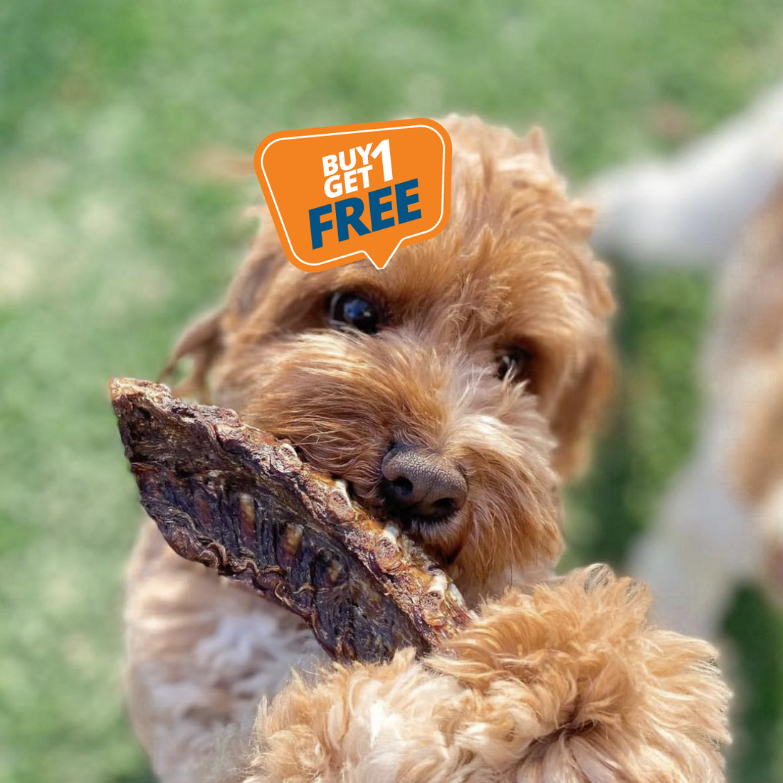 Performance Pet Foods - Australian Made Dog Treats