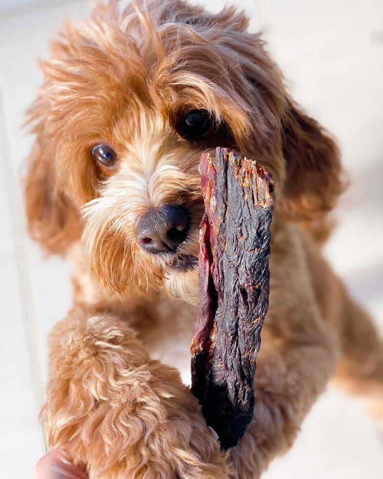 Performance Pet Foods - Australian Made Dog Treats