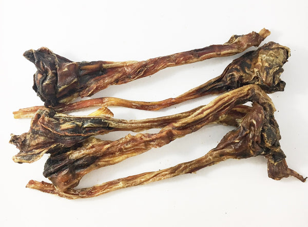 Kangaroo Tendons Dog Treats – Performance Pet Foods